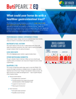 ButiPEARL® Z EQ - The Powerful Effect of Butyric Acid and Zinc | Animal Gut Health Integrity ...